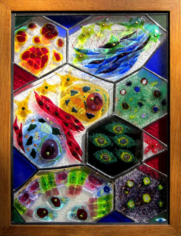 Cells R Us 1 | Vitreous Humor Art Glass
